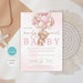 Editable Brown Bear Balloon Baby Shower Invitation Bundle, We Can ...