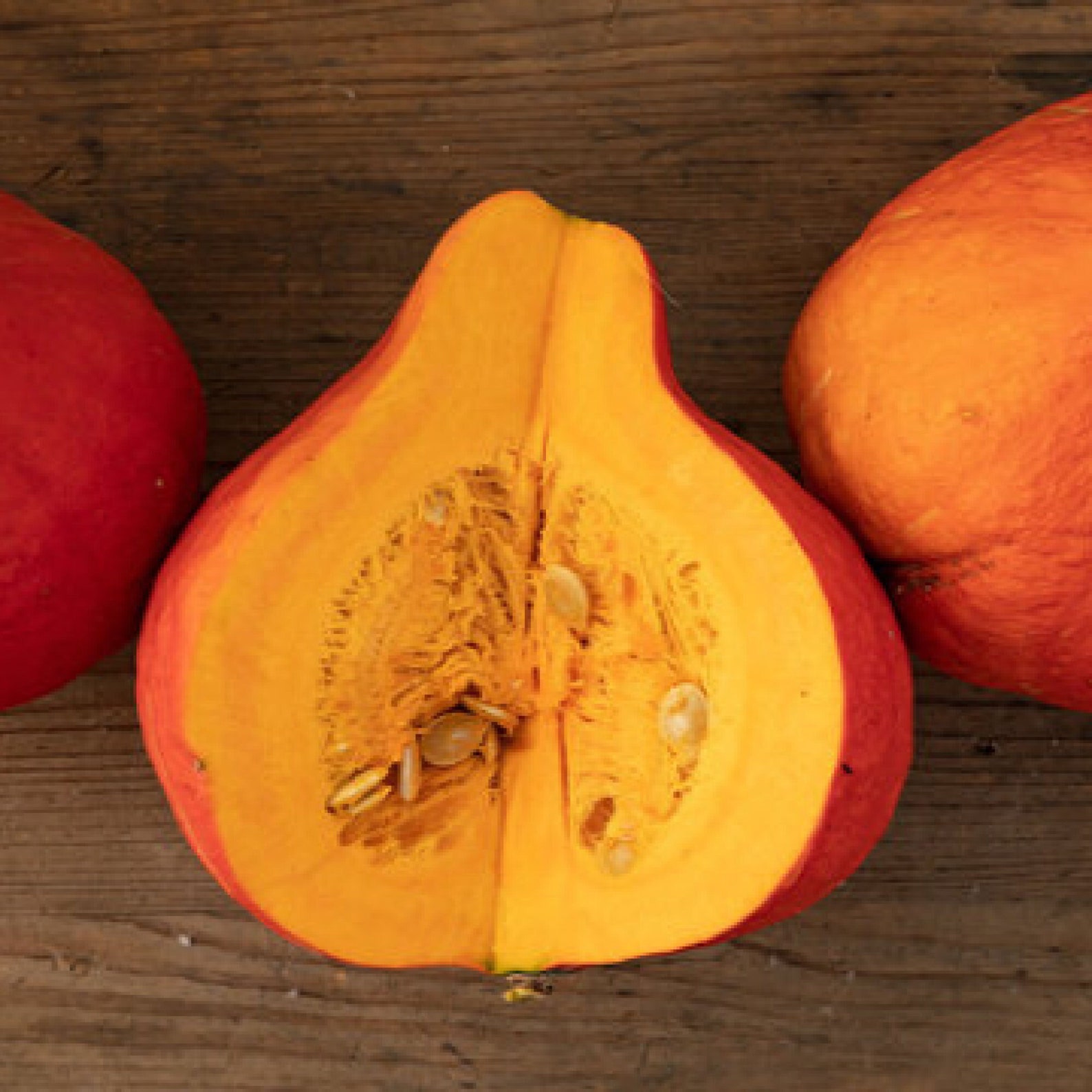 Uchiki Kuri | Japanese Heirloom Hubbard | Cucurbita Maxima | Japanese ...
