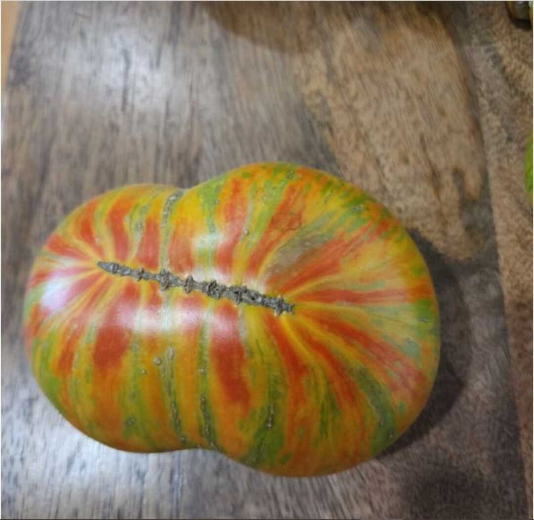 Green Berkeley Tie Dye Rare , 20 Seeds, Indeterminate Beefsteak Variety ...