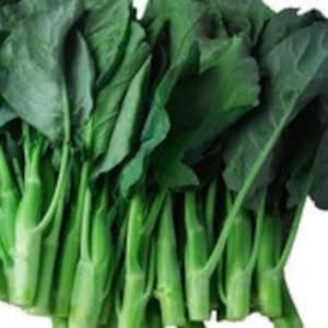 Chinese Broccoli | Gai Lan | Kai-lan | Jie Lan | Chinese Kale ...