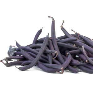 Bean - Velour Purple French Bean Heirloom Seed | Purple French Bean ...