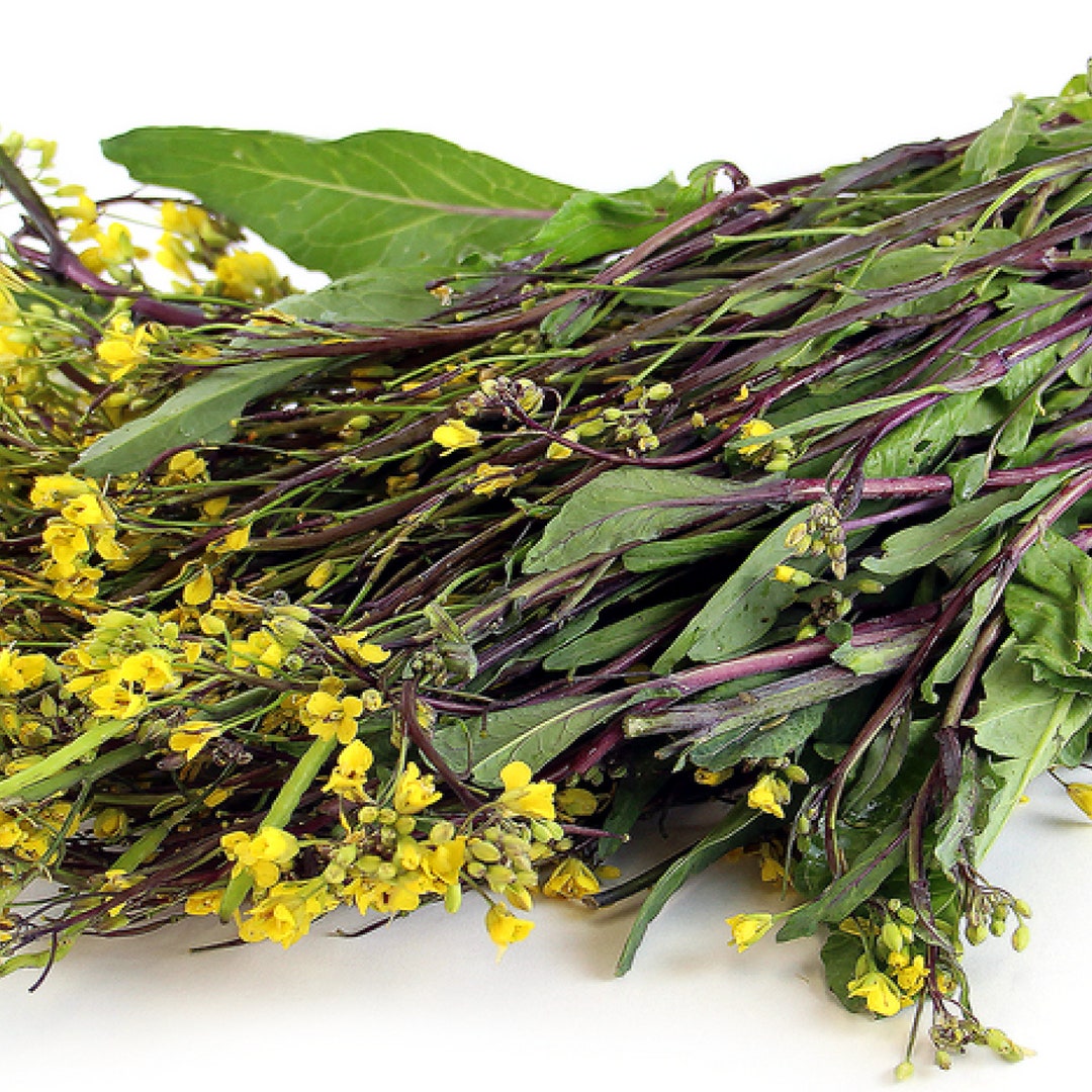 Purple Stem Yu Choy Sum, Kosaitai, Hon Tsai Tai 200 Seeds - Etsy