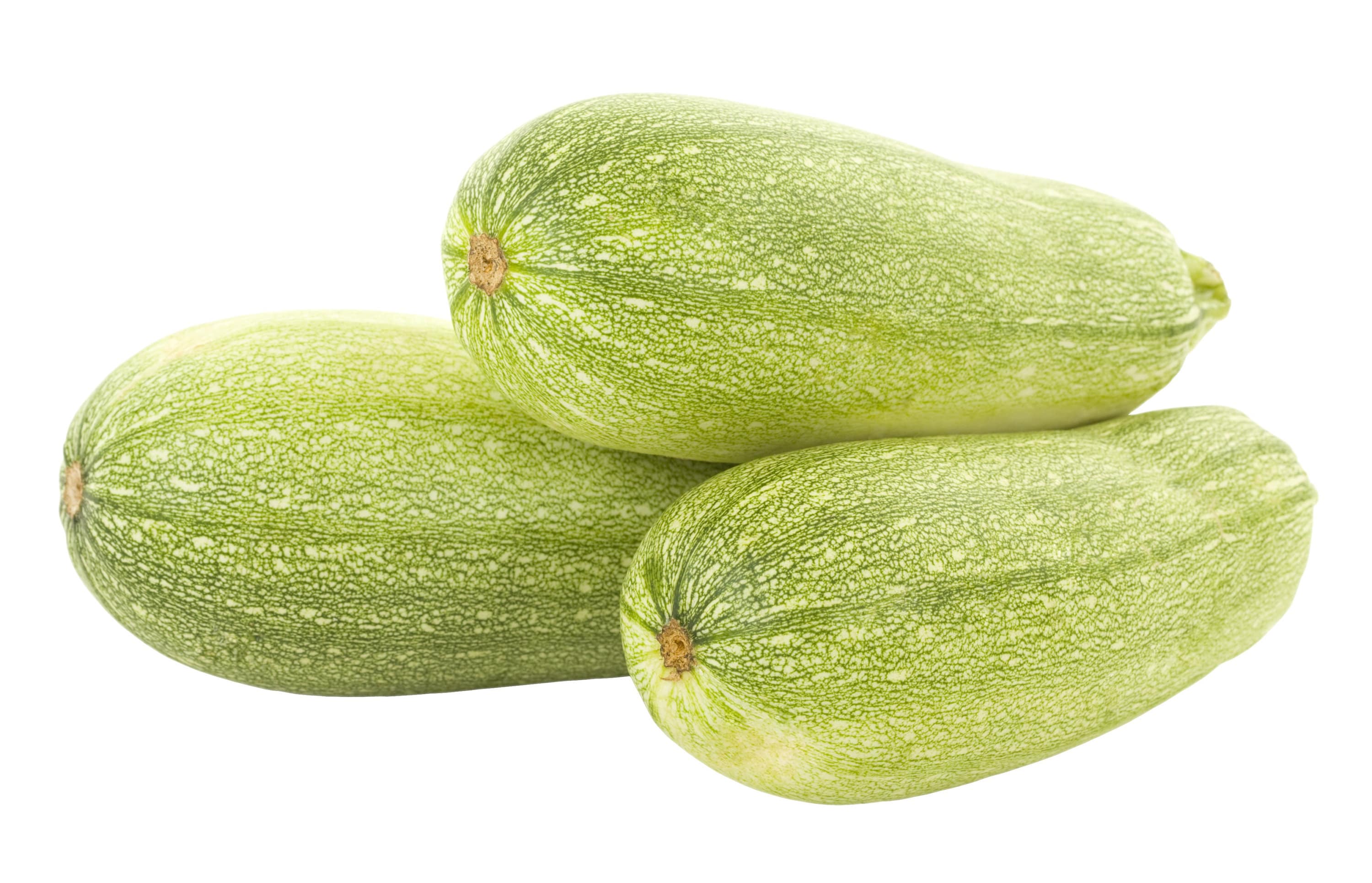 Squash - Calabacita | Mexican Grey Squash| Grey Squash | Grey Zucchini ...
