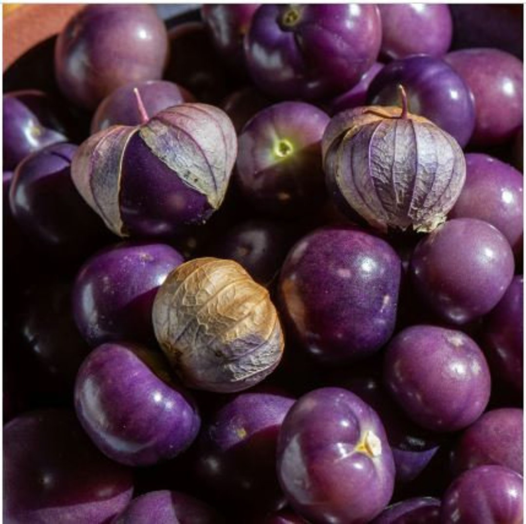 Deep Purple Tomatillo, Purple Tomatillo Seeds, Non GMO Seeds, Deepest ...