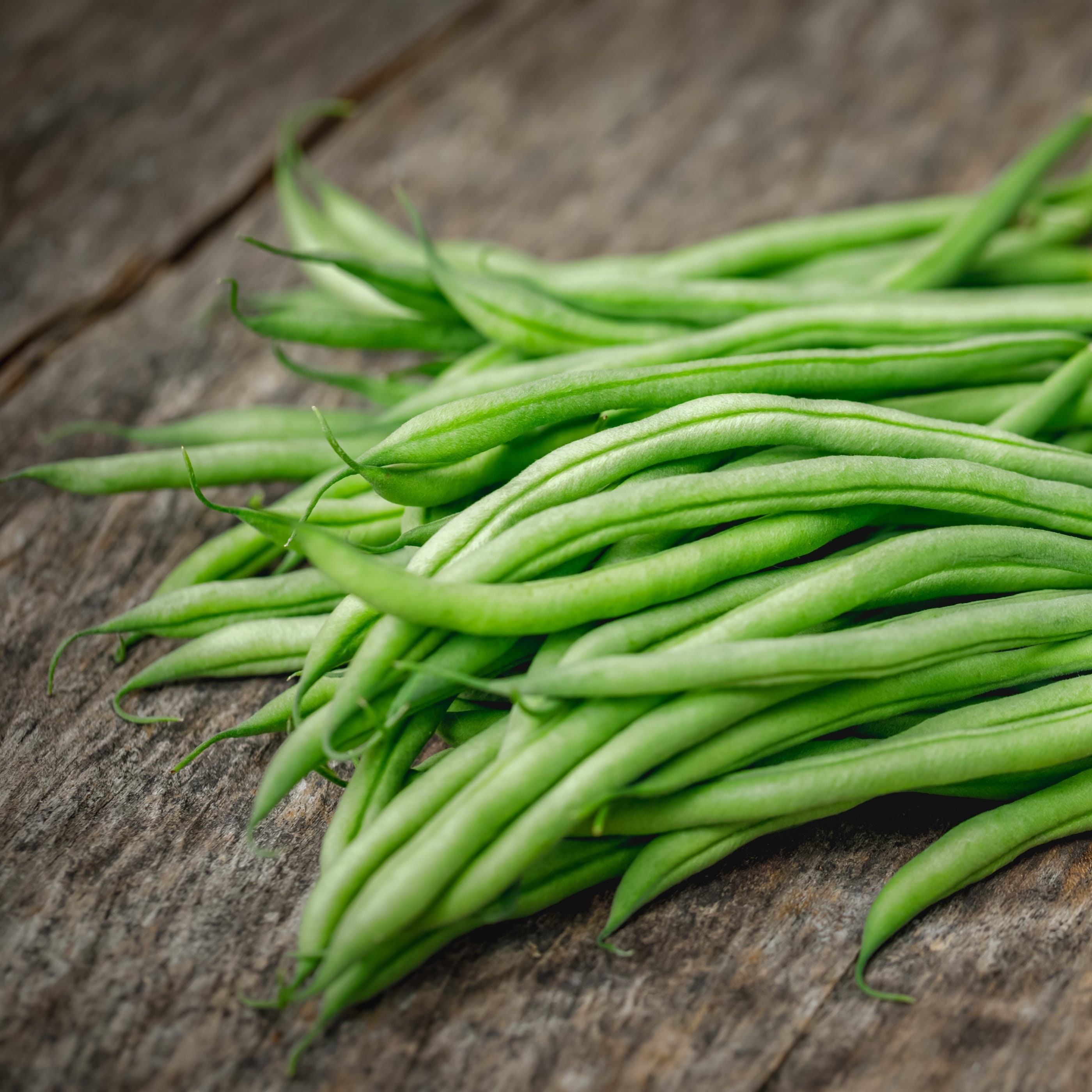 Slenderette French Bean Heirloom Seed Slender Pod French Bean Seed ...