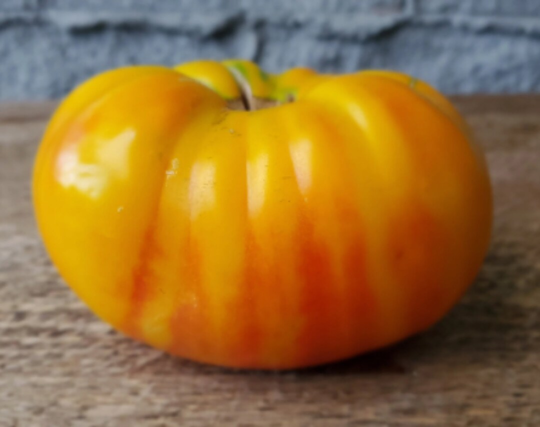 Striped German Tomato Seeds, Open Pollinated NON GMO Heirloom Tomato ...