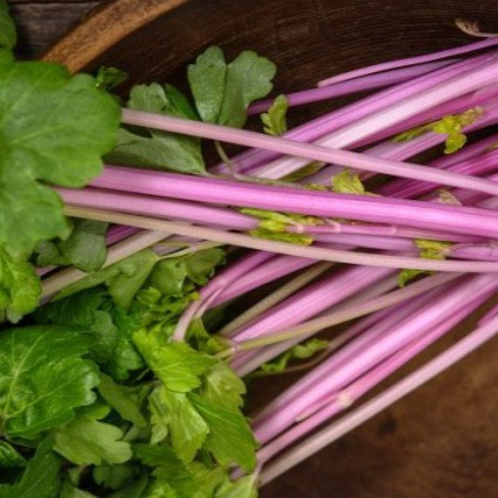 Pink Chinese Celery 200 & 400 Seeds Chinese Pink Celery, Dark Green ...