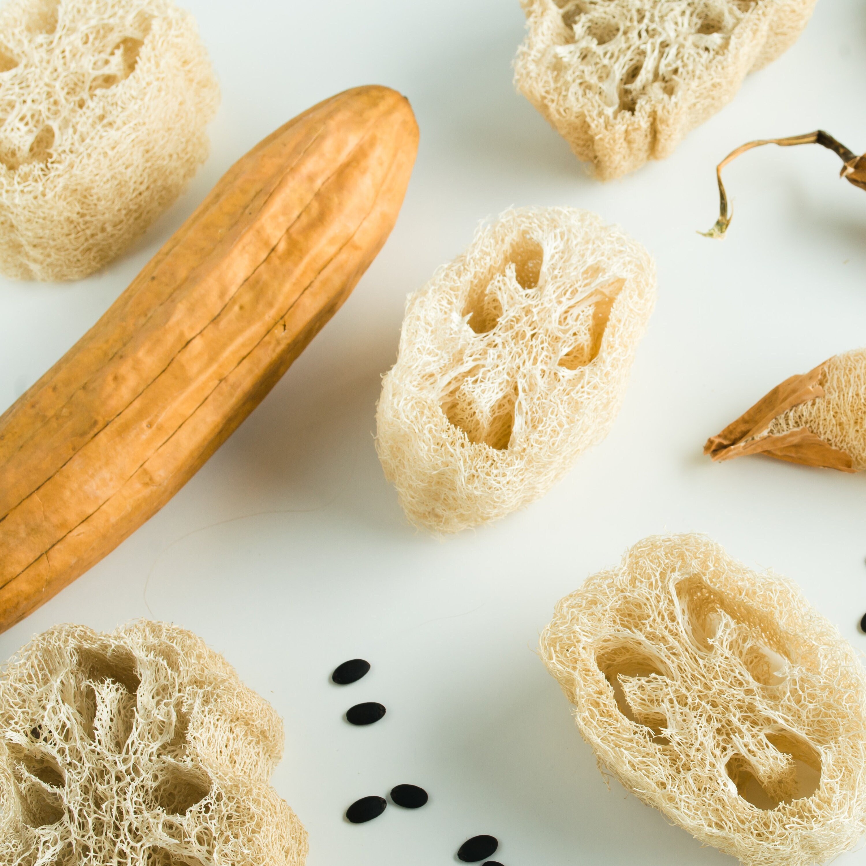 Smooth Luffa Gourd Sponge 12-18" Long, Luffa Gourd Natural Sponge ...