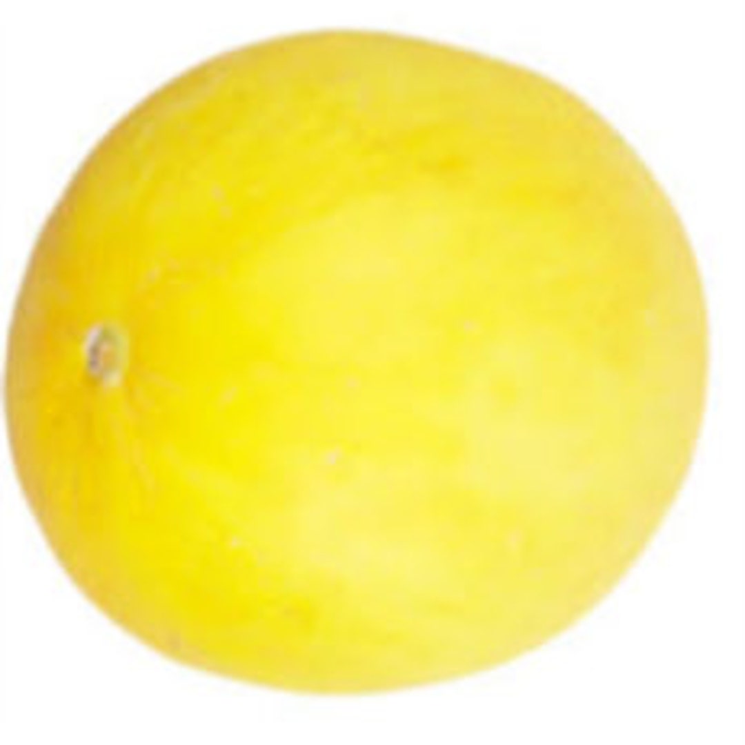 Golden Dew Melons Seeds, 50 Seeds Open Pollinated Non GMO Heirloom ...