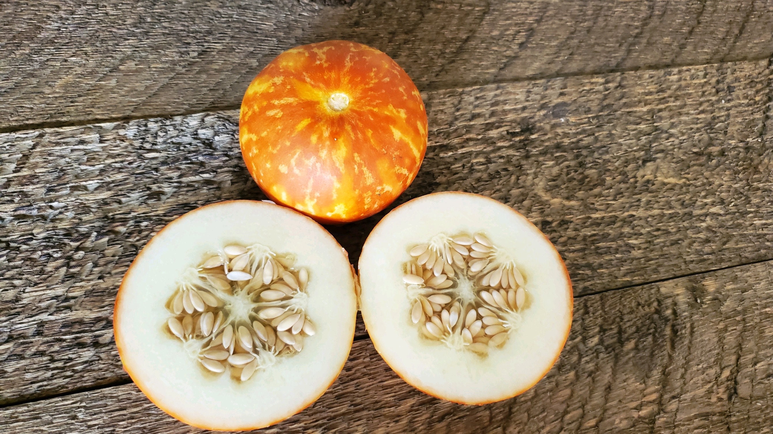 Rare Tigger Melon Seeds Pocket Melon, Cucmis Melon, Tigris River Melon ...