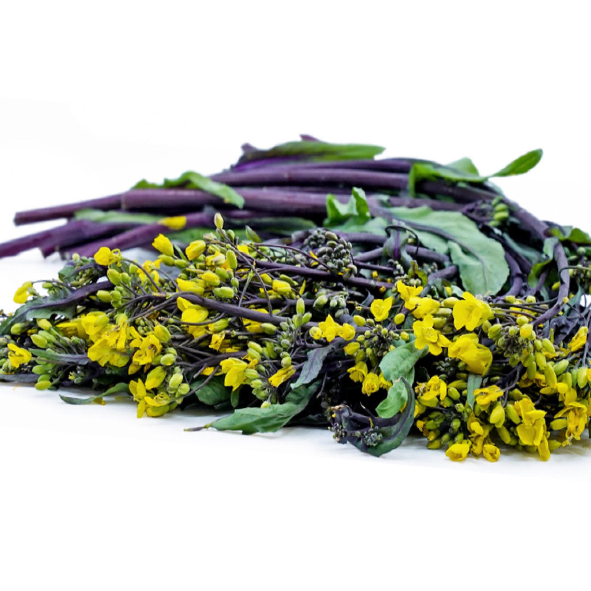 Purple Stem Yu Choy Sum, Kosaitai, Hon Tsai Tai 200 Seeds - Etsy