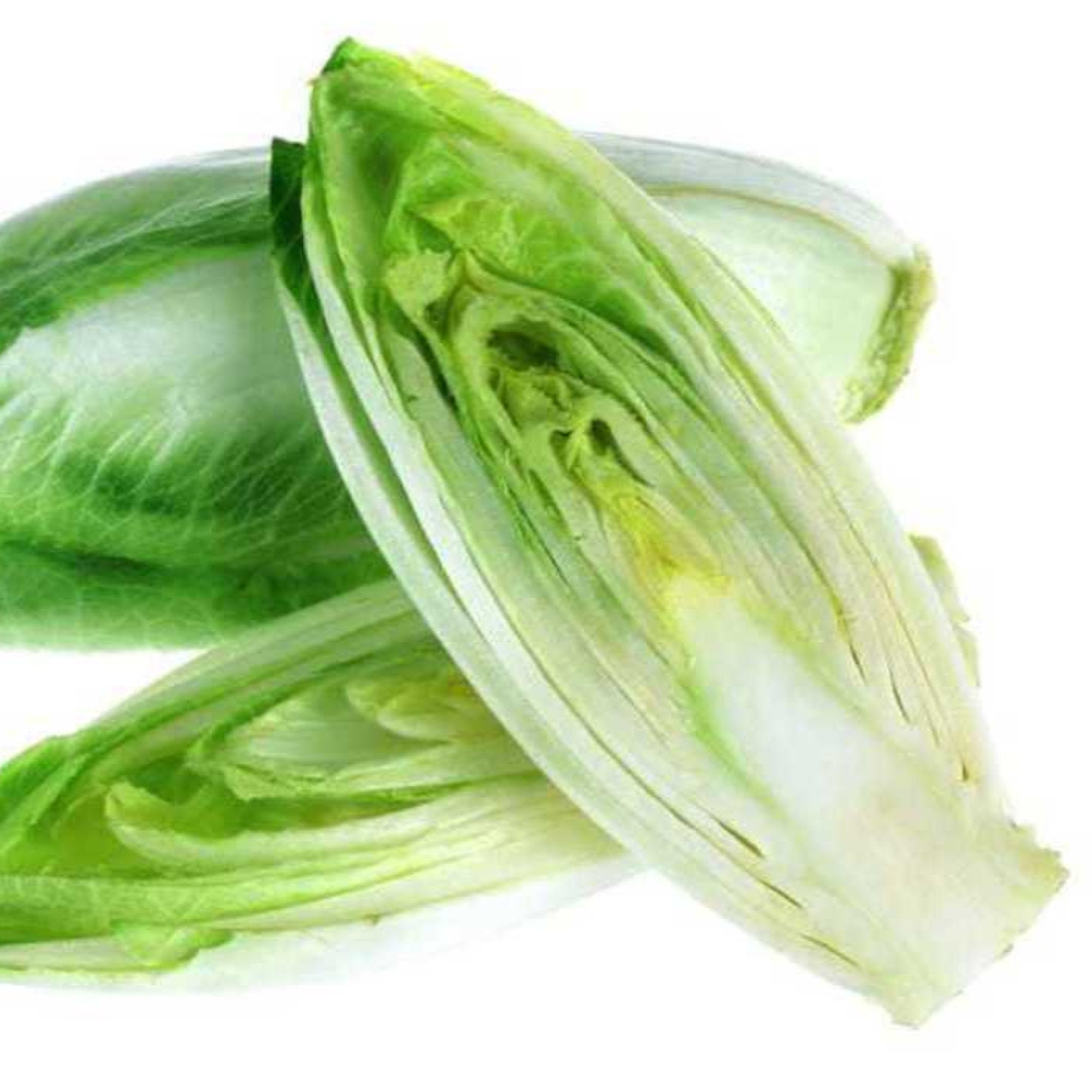Endive Sugar Loaf Seeds Escarole Chicory Cichorium Endivia fresh Garden ...