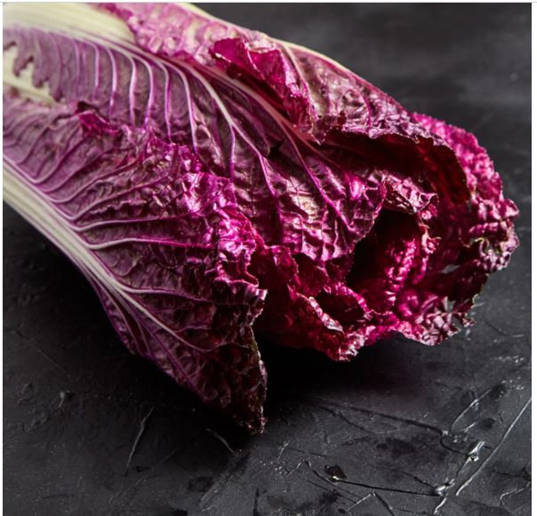 Napa Red Cabbage Seed Non-gmo Hybrid Vegetable Chinese Red Cabbage Red ...