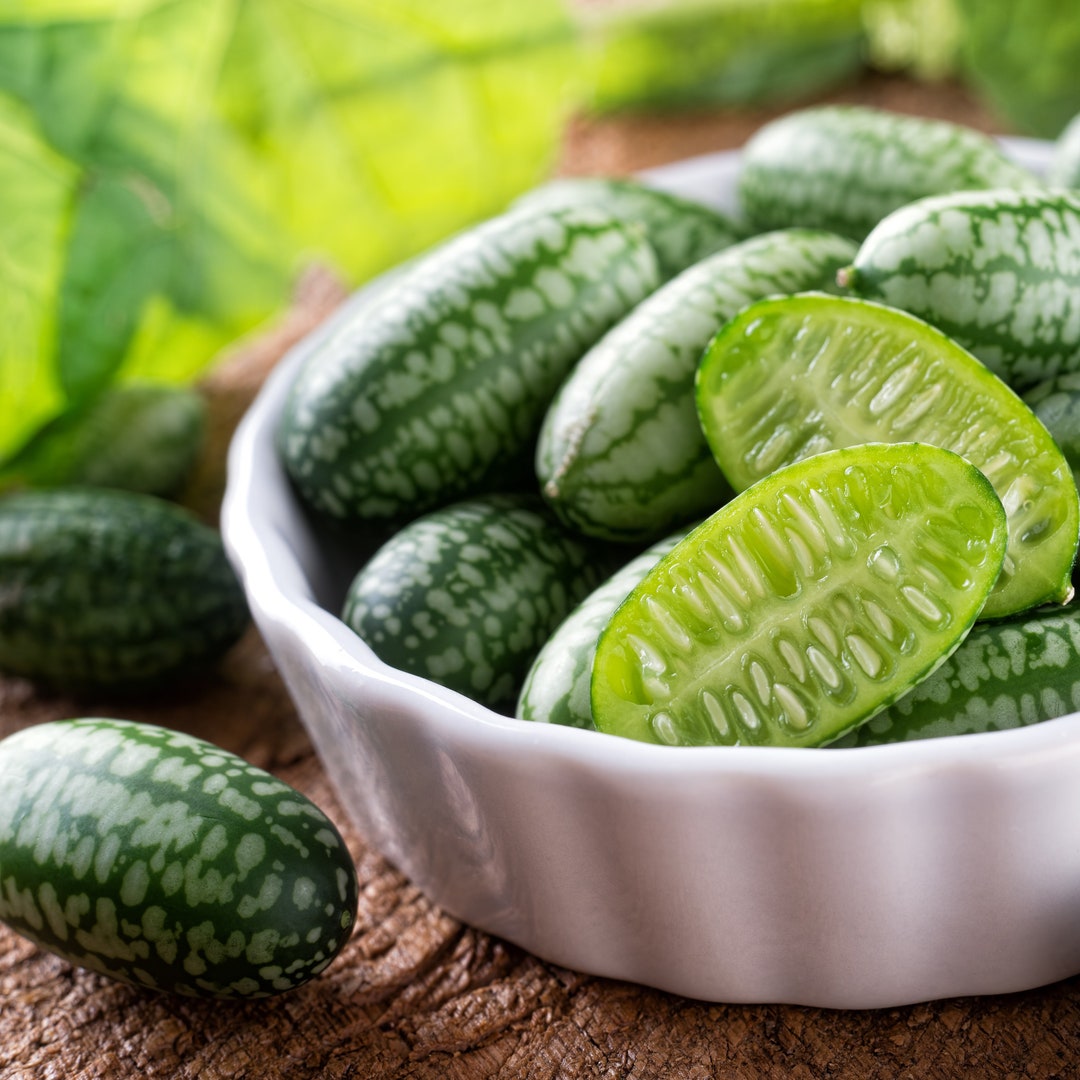 Cucamelon Seeds, Mexican Sour Gherkin , Mouse Melons , Tiny Cucumbers ...