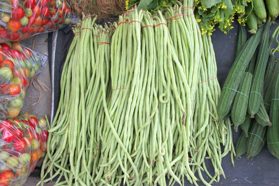 Chinese Yard Long Bean 40 Seeds, Asian Heirloom, Snake Bean, Yard Long ...
