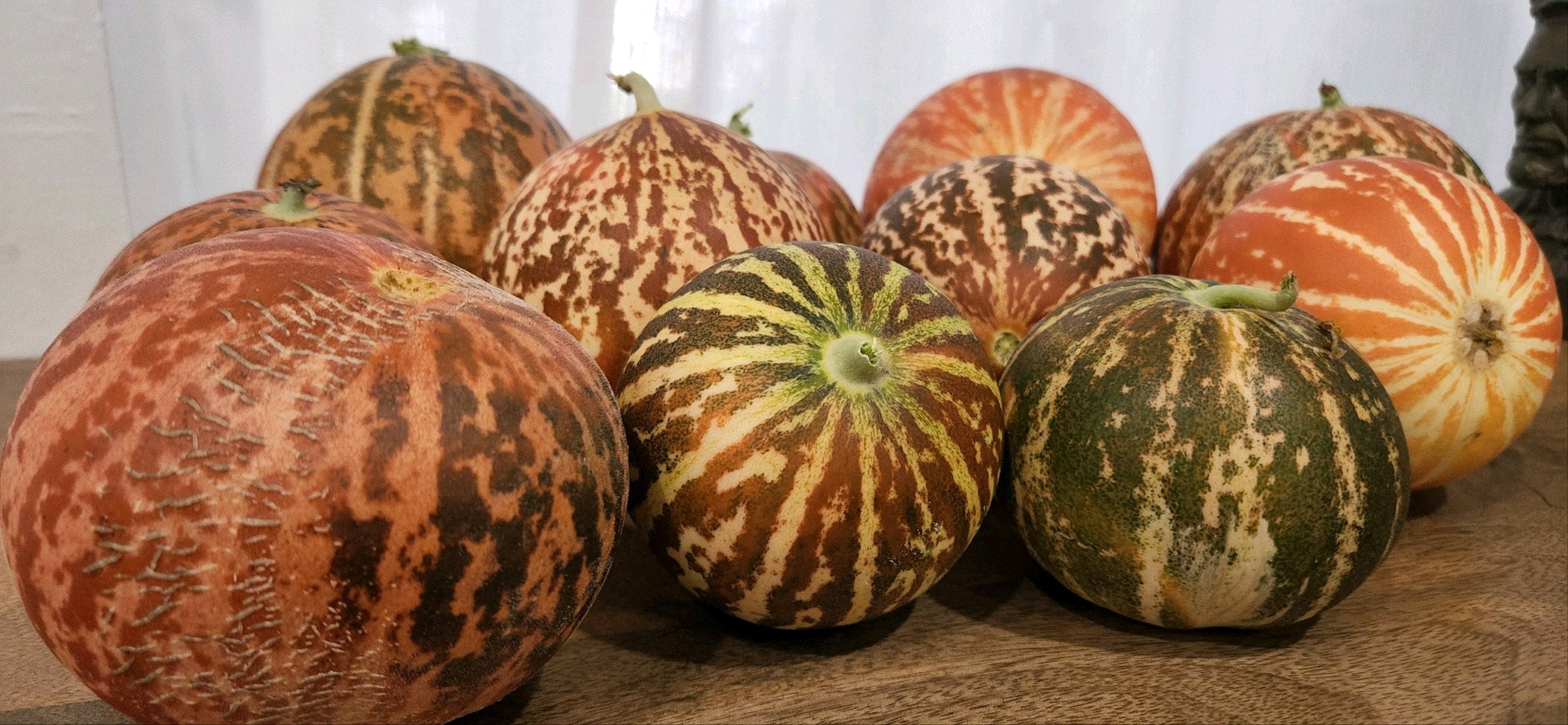 Rare Tigger Melon Seeds Pocket Melon, Cucmis Melon, Tigris River Melon ...