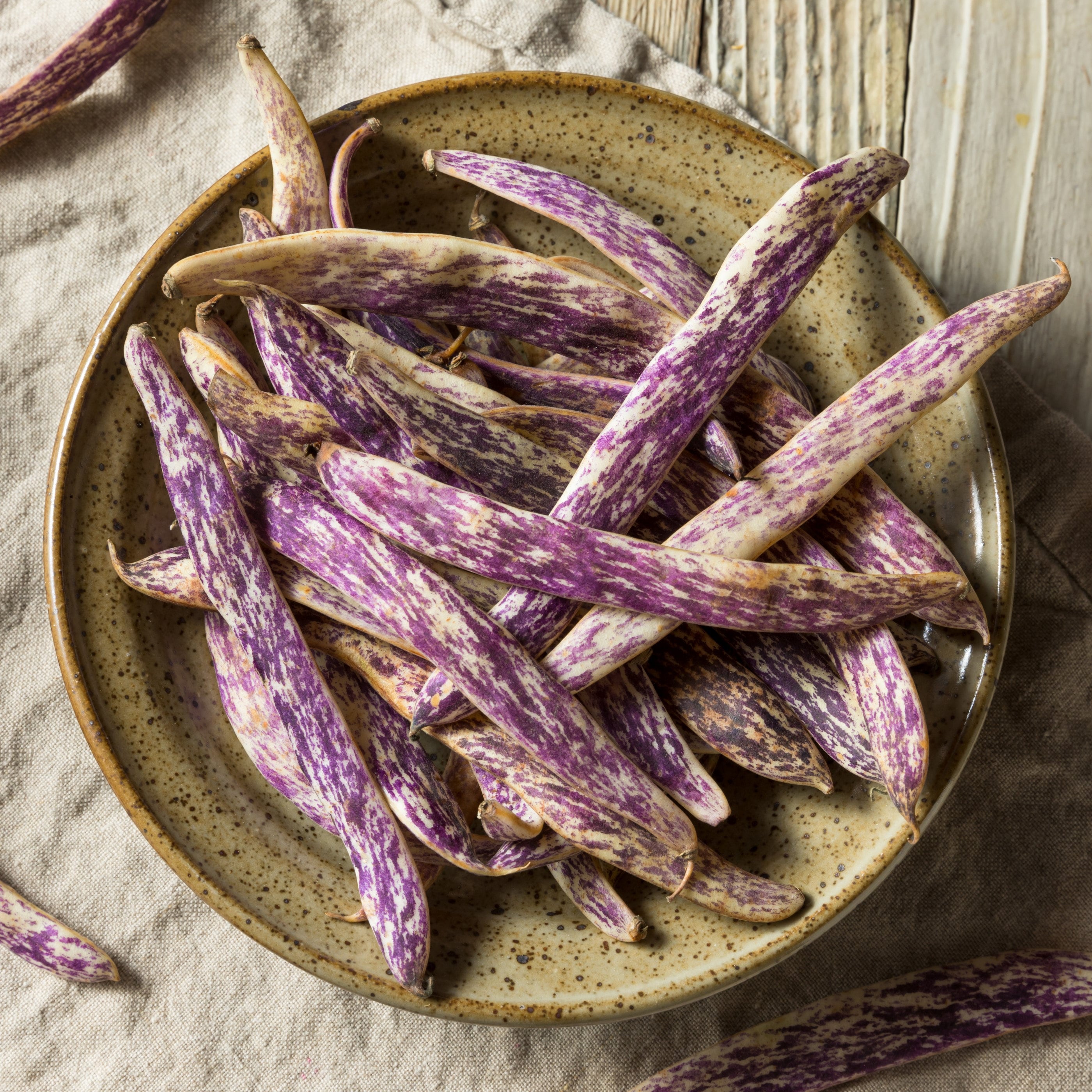 Dragon's Tongue Bean Seeds, Wax Bean Seeds, Famous Heirloom Bicolor Wax ...