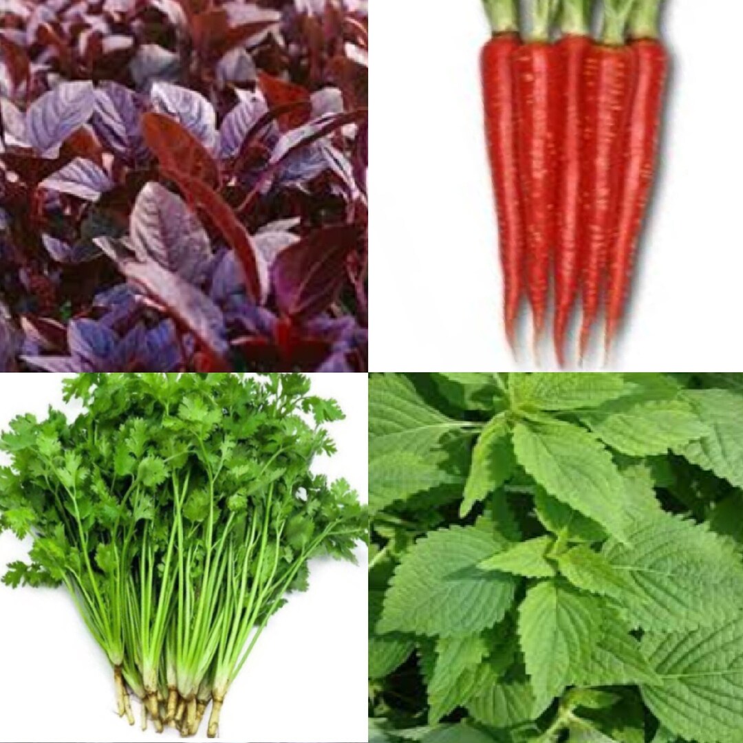 Heirloom Asian Vegetable Pack : Kyoto Red Carrots, Red Garnet Amaranth ...