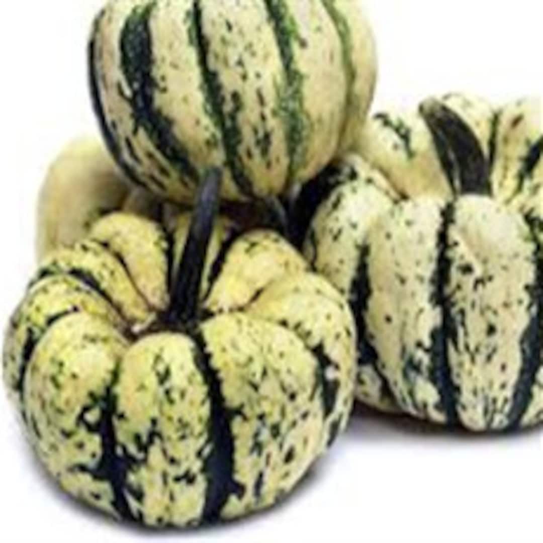 Sweet Dumpling Squash Seeds, Sweet Potato Squash Non GMO Open ...