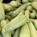 Green Variegated Marrow Squash, Green Lebanese Squash, Summer & Winter ...