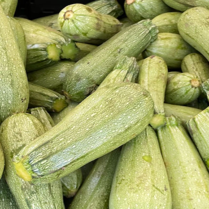 Squash - Calabacita | Mexican Grey Squash| Grey Squash | Grey Zucchini ...