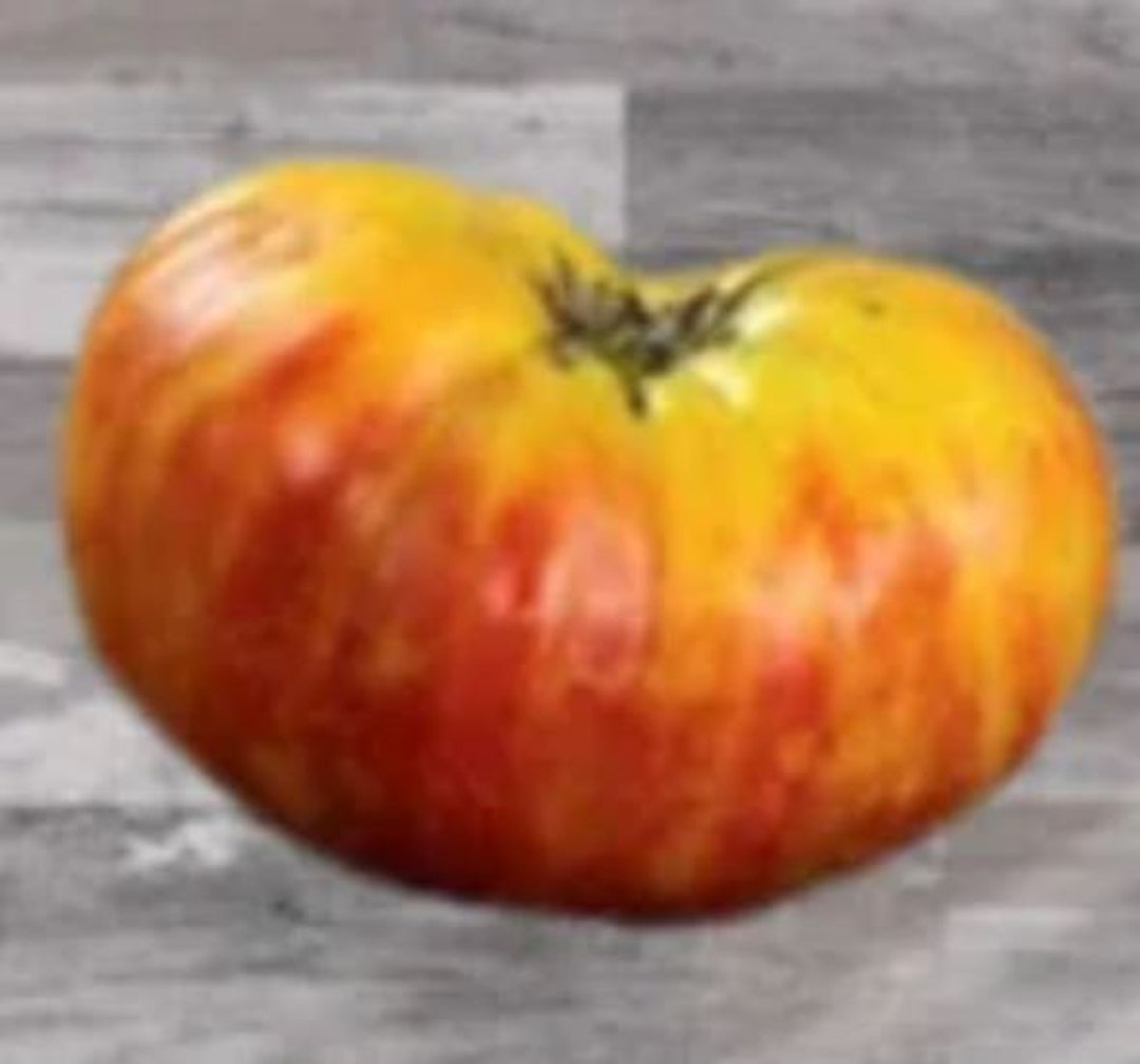 Flame Tomato Seeds, Large Indeterminate Heirloom Non GMO Open ...