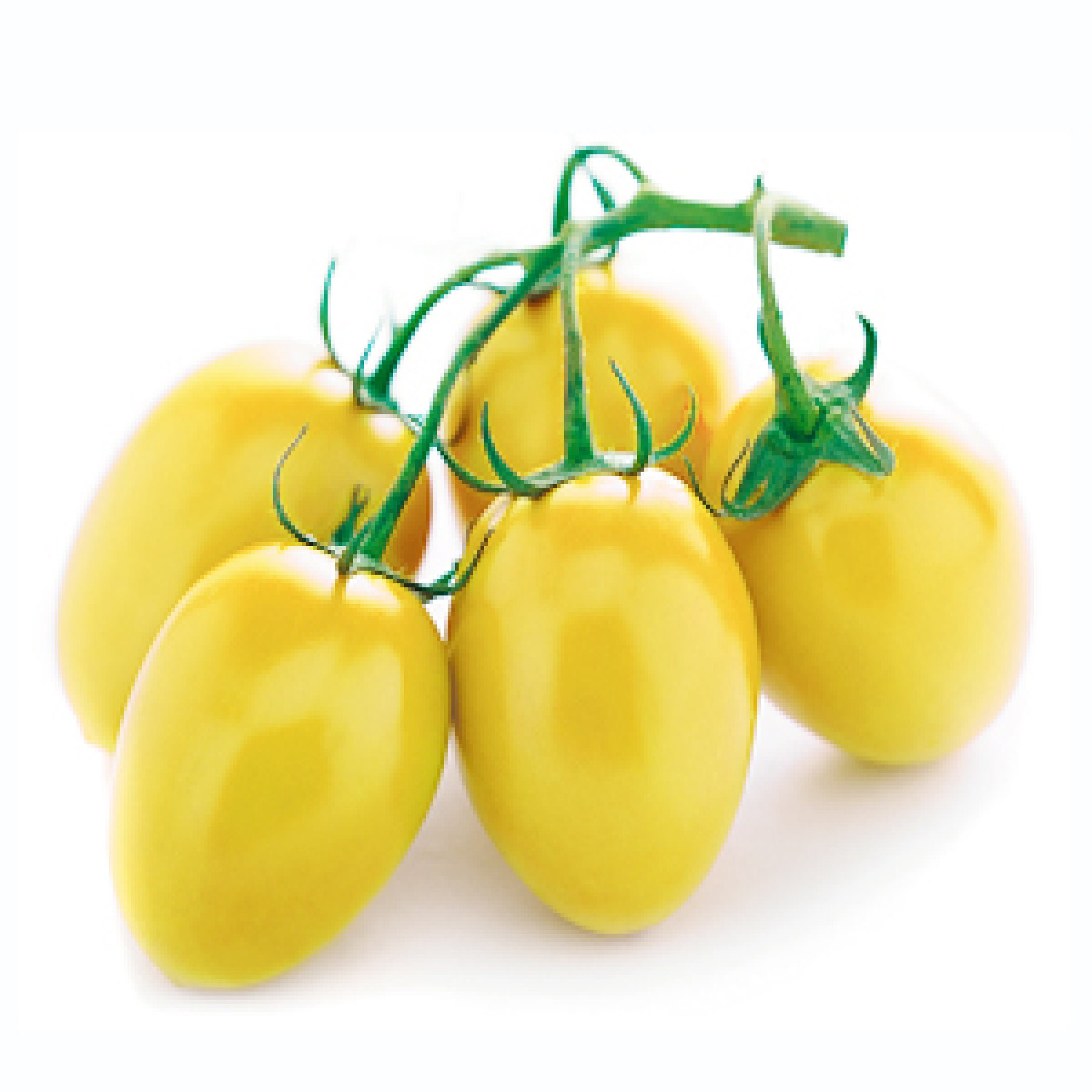 Golden Roma Tomato Seeds | Yellow Roma | Yellow San Marzano | Yellow ...