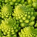 Romanesco Cauliflower Heirloom Seeds, Romanesco Cauliflower, Romanesco ...