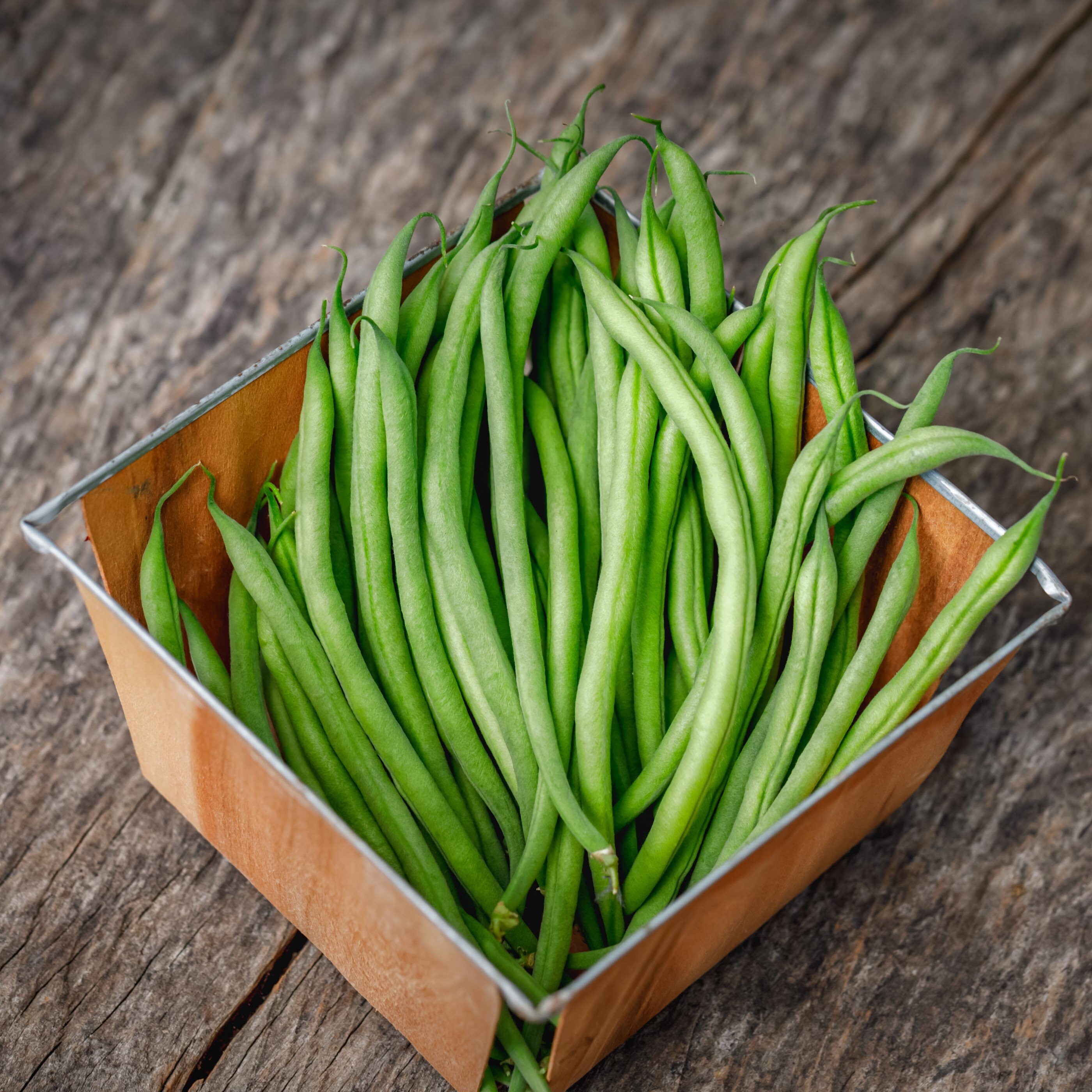 Slenderette French Bean Heirloom Seed Slender Pod French Bean Seed ...