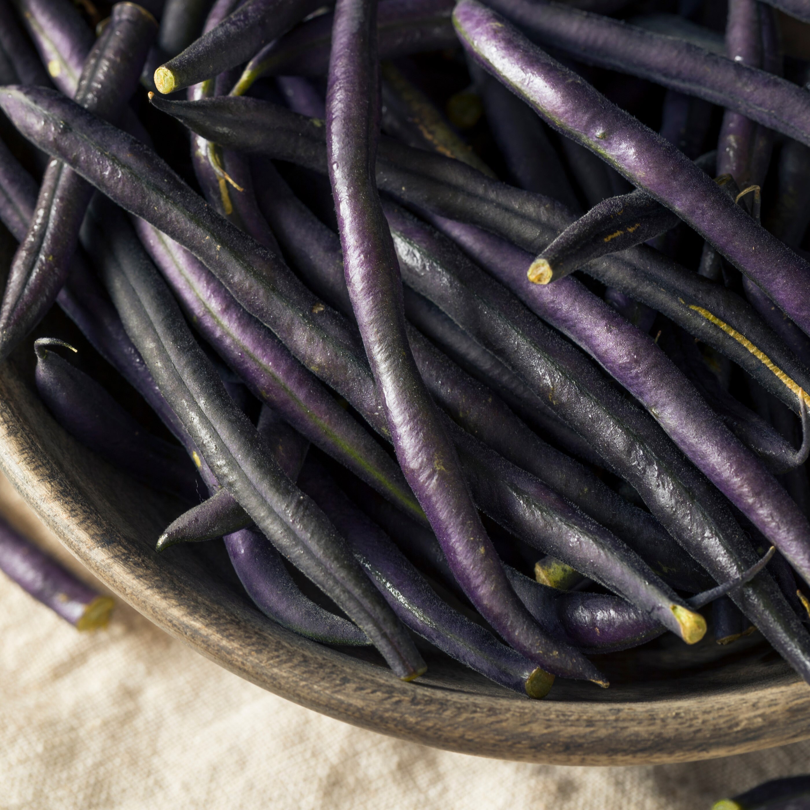 Bean Velour Purple French Bean Heirloom Seed Purple French Bean Seed ...