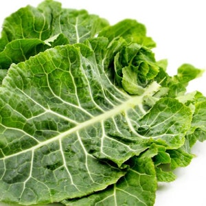 Portuguese Kale 200 Seeds, Tronchuda Beira, Open Pollinated Non GMO ...