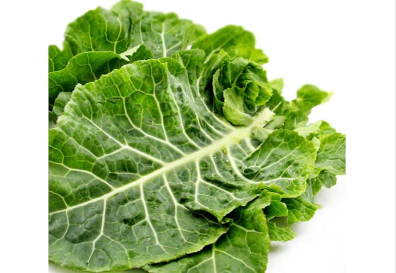 Portuguese Kale 200 Seeds, Tronchuda Beira, Open Pollinated Non GMO ...