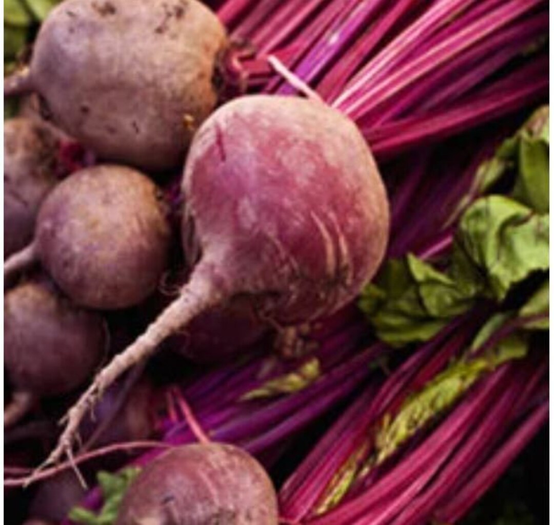Detroit Red Beet Seeds | Heirloom Seeds | Beta Vulgaris | Beet Garden ...