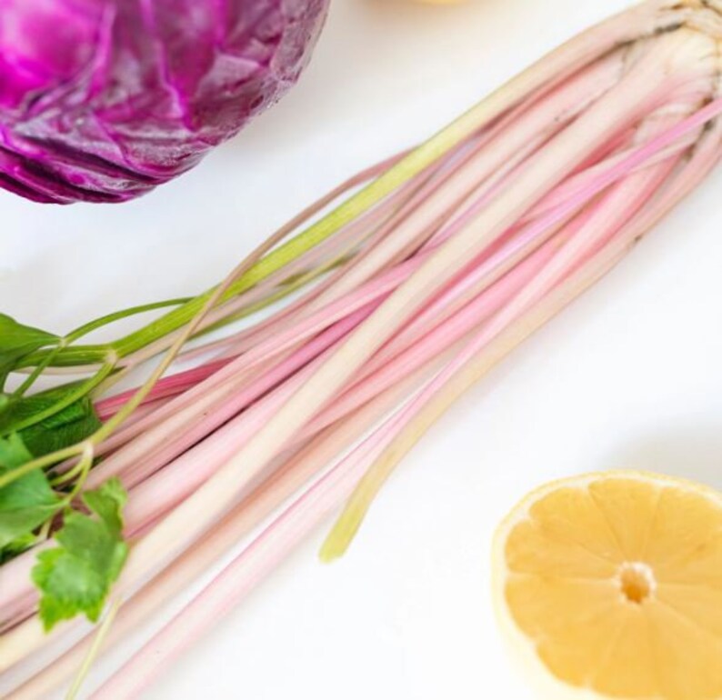 Pink Chinese Celery 200 & 400 Seeds Chinese Pink Celery, Dark Green ...