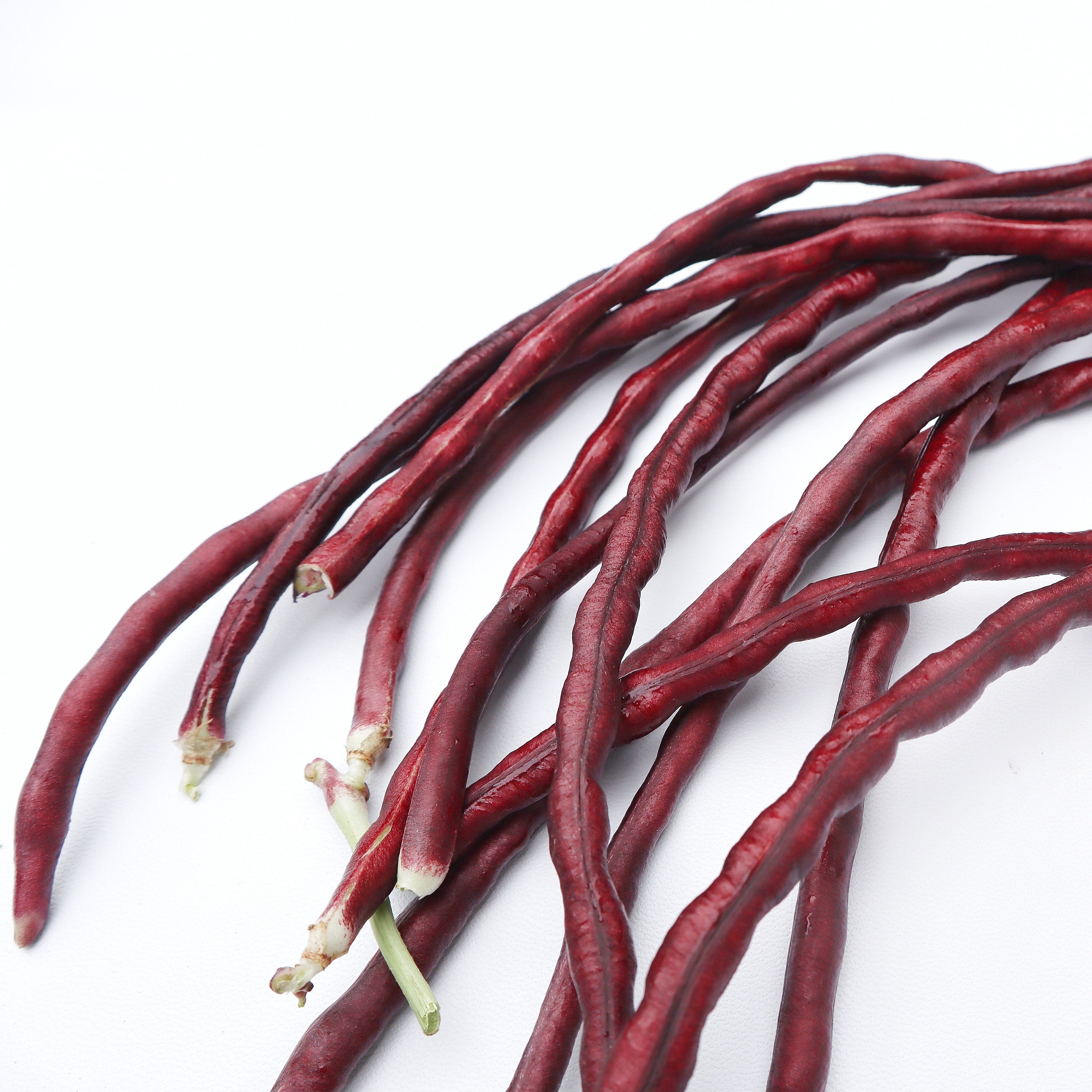 Purple Yard Long Bean Seeds, Red Noodle Yard Long Heirloom Seed, Purple ...