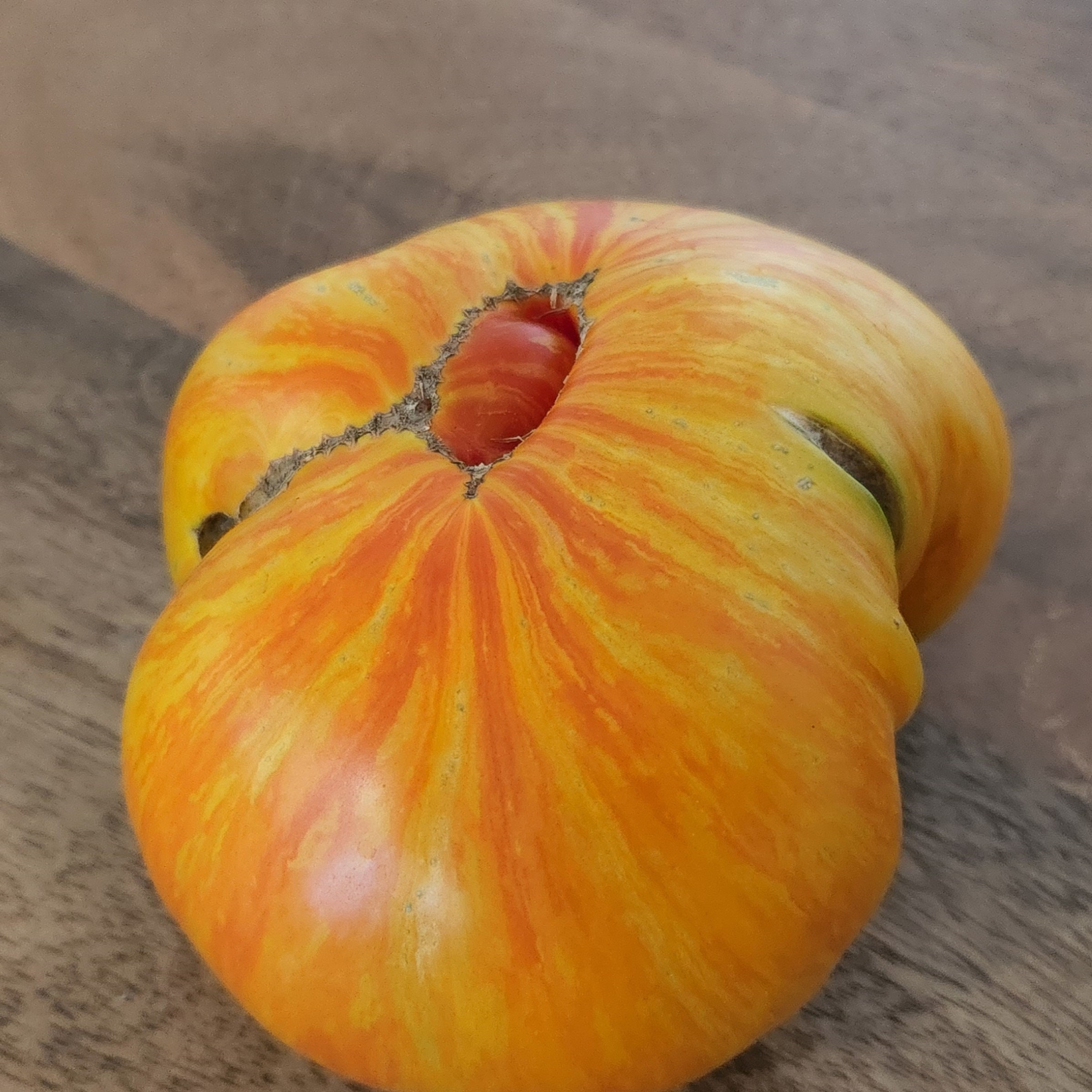 Mandi's Fire Tomato Seeds Rare New, 20 Seeds, Indeterminate Beefsteak ...