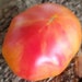 Flame Tomato Seeds, Large Indeterminate Heirloom Non GMO Open ...