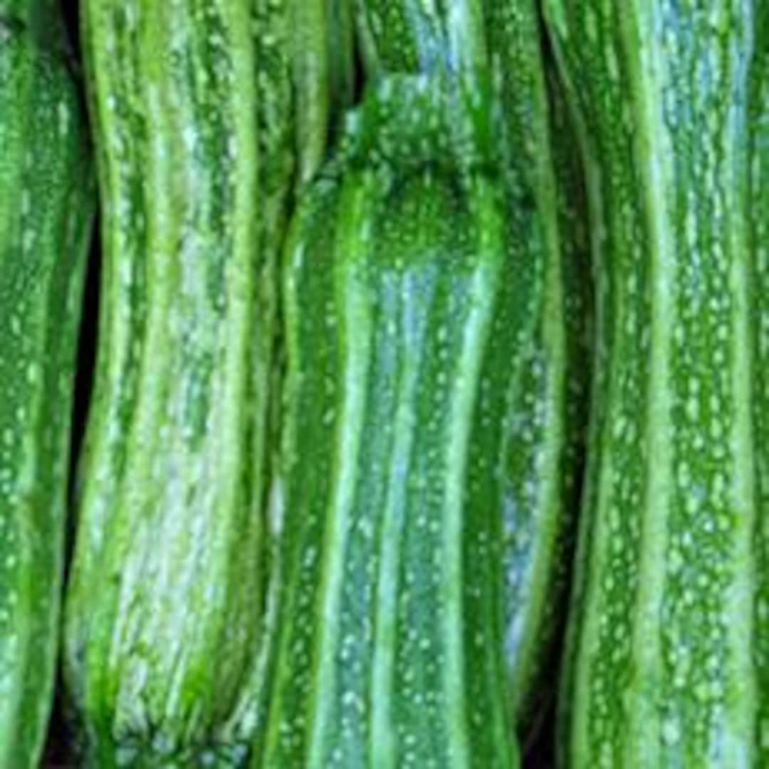 Zucchini Romanesco Seeds, Open Pollinated Non GMO Heirloom Italian ...