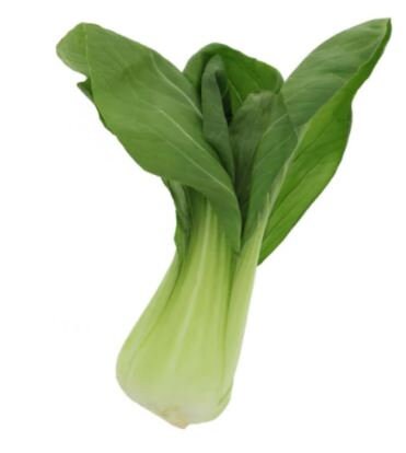 Pak Choi, Chinese Pak Choi, Bok Choi, Green Cabbage, Green Leafy ...