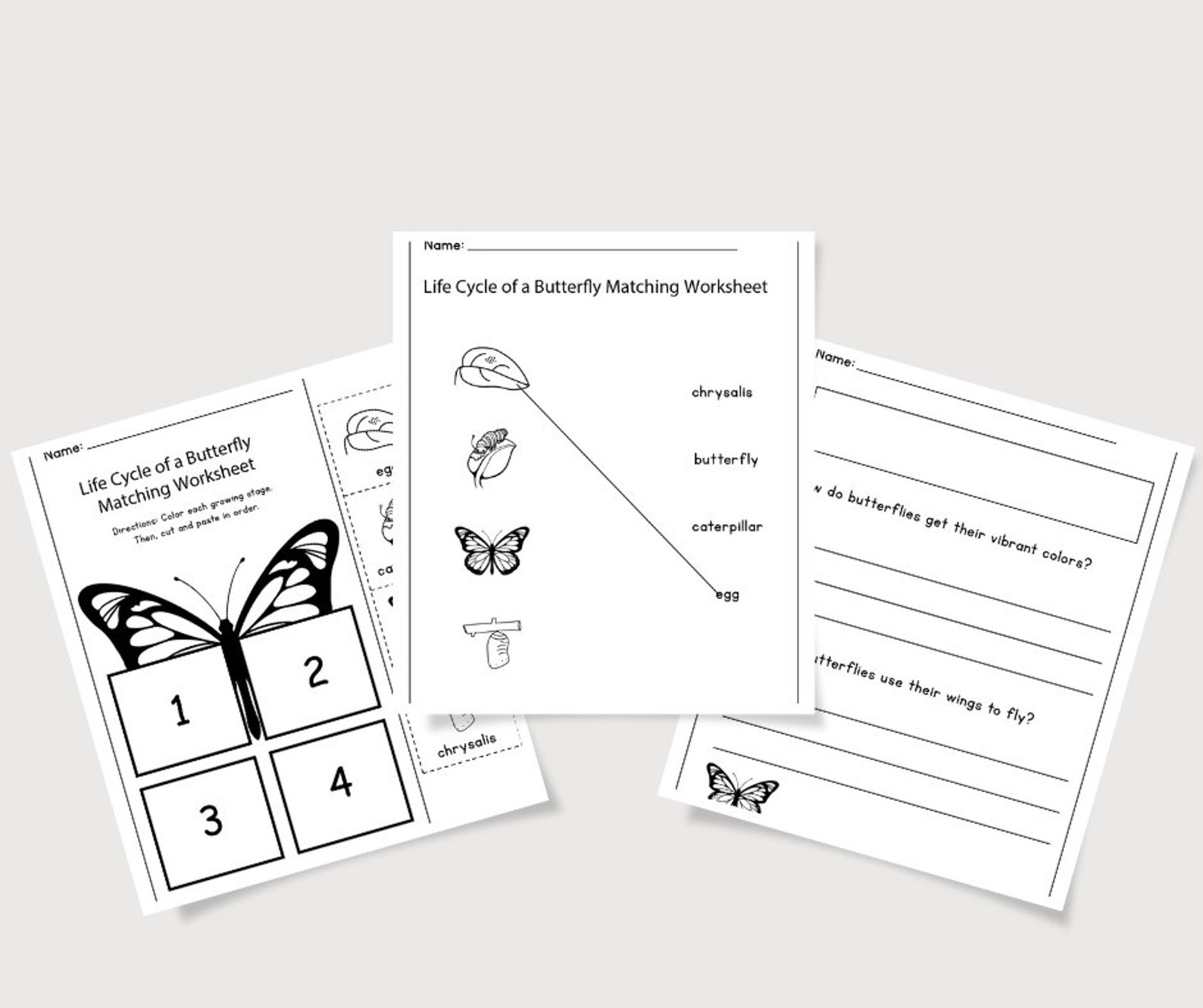 Butterfly Life Cycle Activity, Toddler Learning Printables, Preschool ...