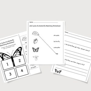 Butterfly Life Cycle Activity, Toddler Learning Printables, Preschool ...