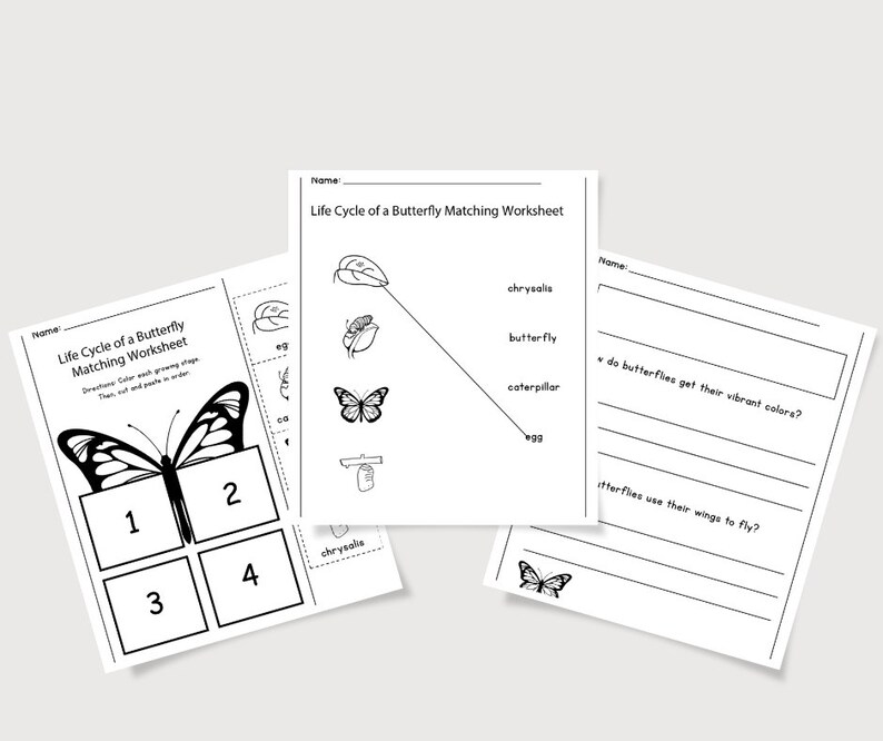 Butterfly Life Cycle Activity, Toddler Learning Printables, Preschool ...