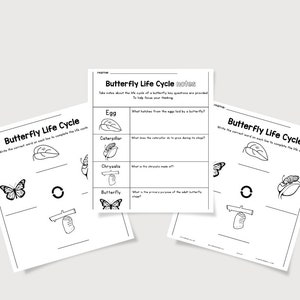 Butterfly Life Cycle Activity, Toddler Learning Printables, Preschool ...
