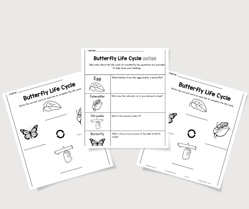 Butterfly Life Cycle Activity, Toddler Learning Printables, Preschool ...