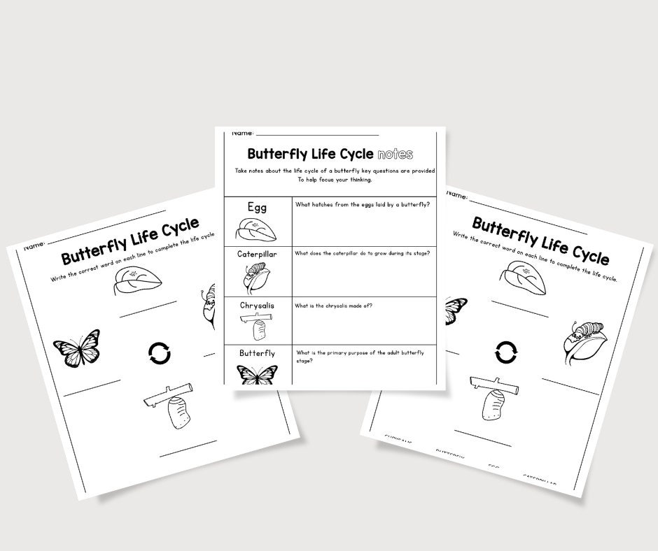 Butterfly Life Cycle Activity, Toddler Learning Printables, Preschool ...