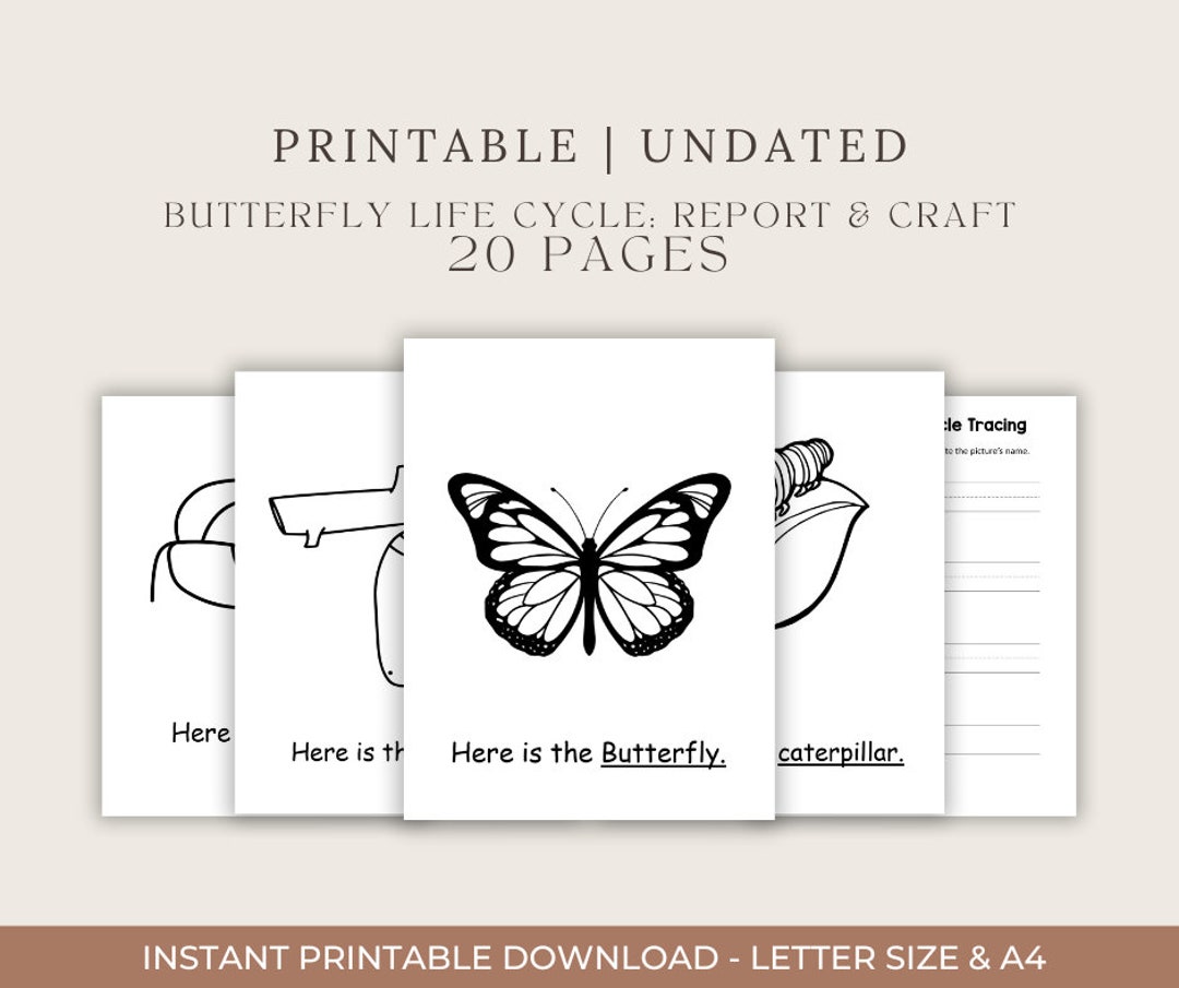 Butterfly Life Cycle Activity, Toddler Learning Printables, Preschool ...