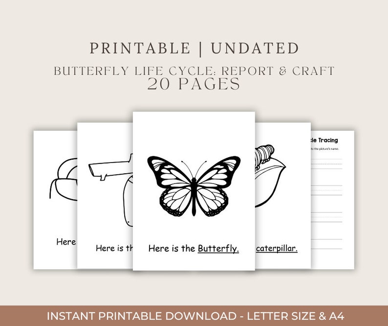Butterfly Life Cycle Activity, Toddler Learning Printables, Preschool ...