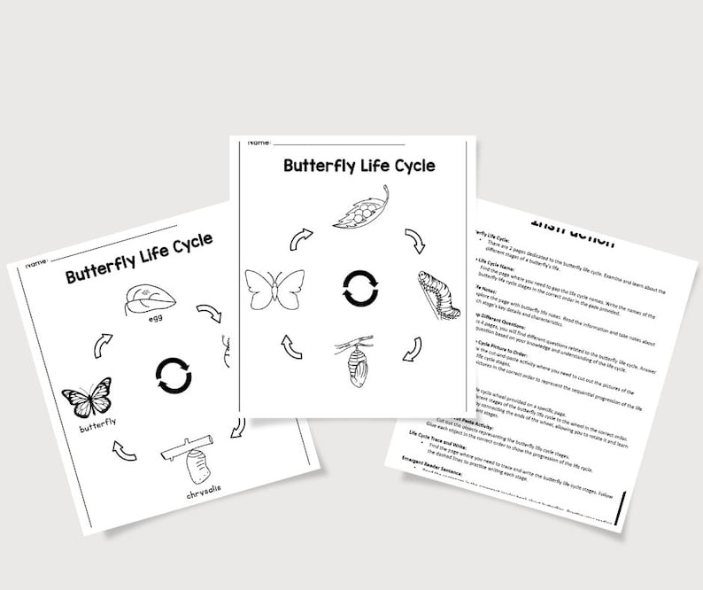 Butterfly Life Cycle Activity, Toddler Learning Printables, Preschool ...