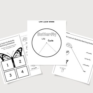 Butterfly Life Cycle Activity, Toddler Learning Printables, Preschool ...