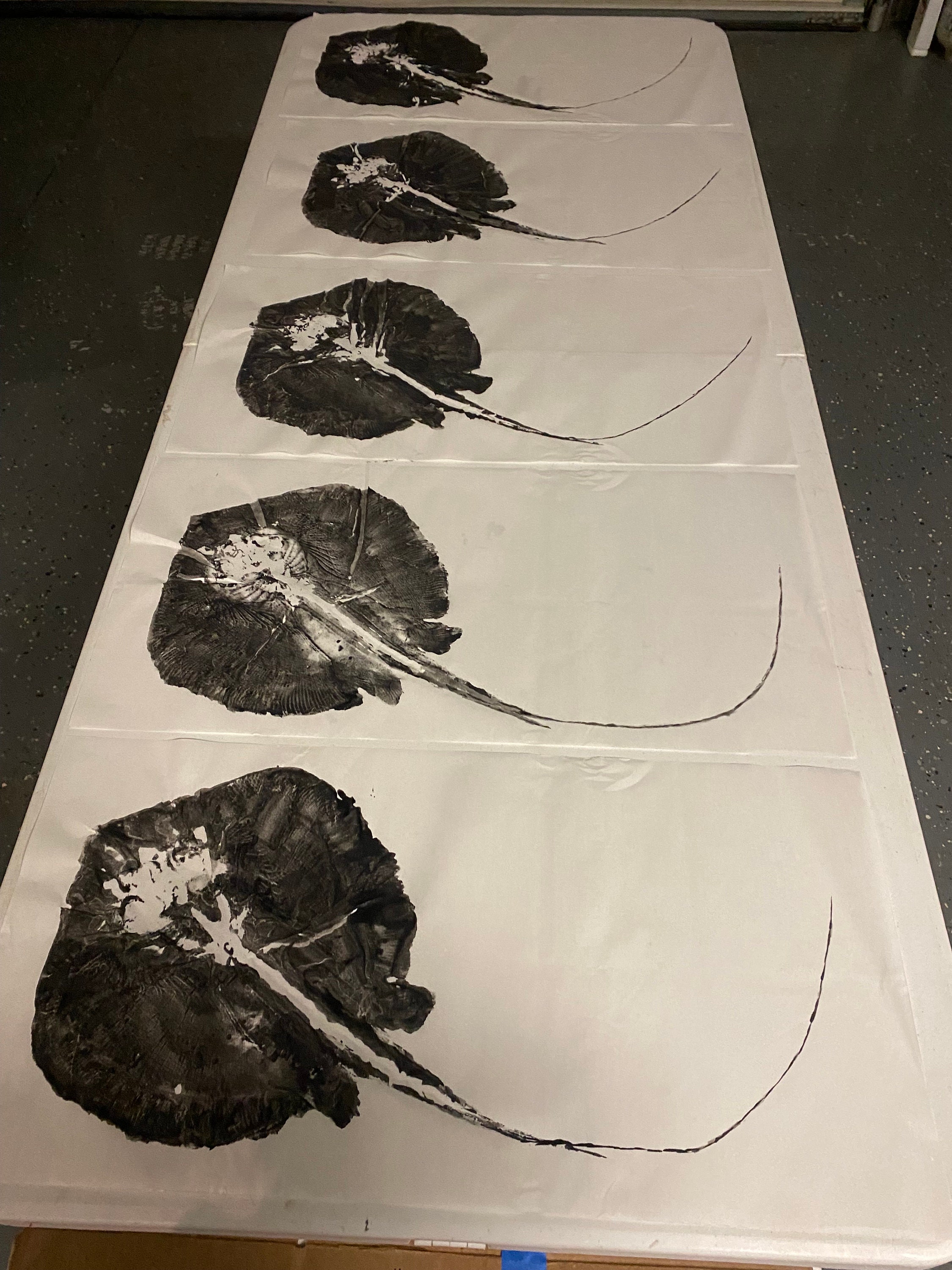 Stingray Art - Original Fish Painting - Gyotaku - Etsy